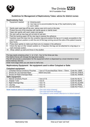 Nursing Management of Patients with Nephrostomy Tubes ...