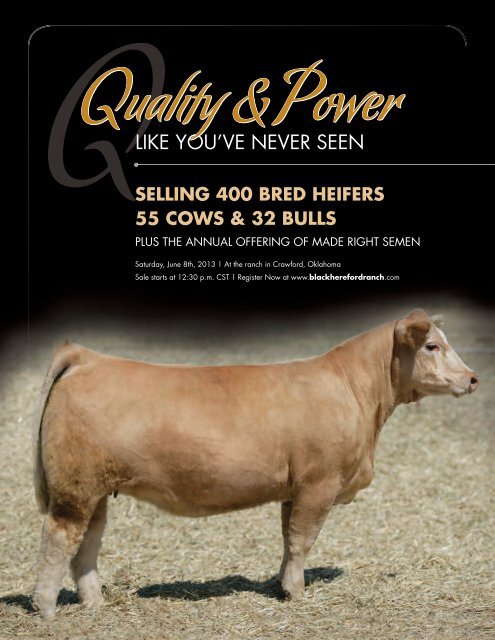 Bodacious Club Calf Bull