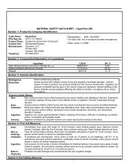 Johnson Wax Virex II 256 Use Solution.pdf