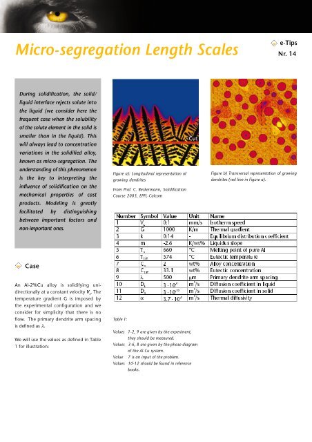 Micro-segregation Length Scales - ESI Group