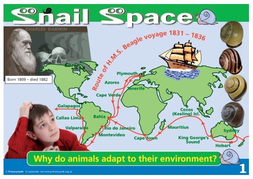 KS2 Snail Space Primary UPD8 Activity - Evolution MegaLab