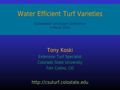 Water Efficient Turf.. - Colorado State University Extension