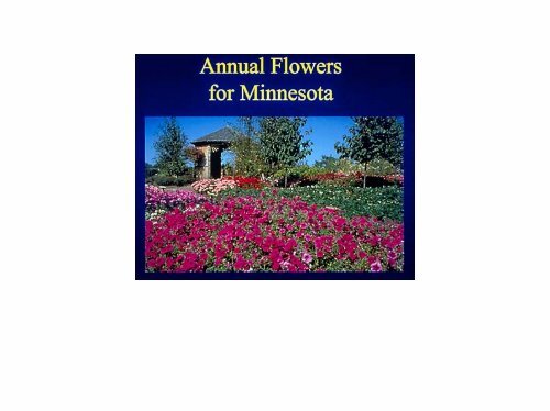 Annual Flowers for Minnesota - University of Minnesota Extension ...