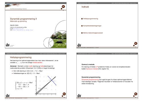 Dynamisk programmering II - Matematik og optimering