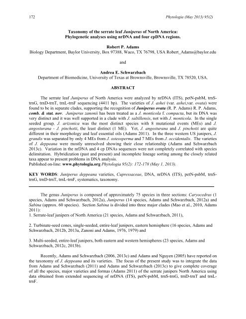 R. P. Adams and A. E. Schwarzbach. Taxonomy of ... - Phytologia.org