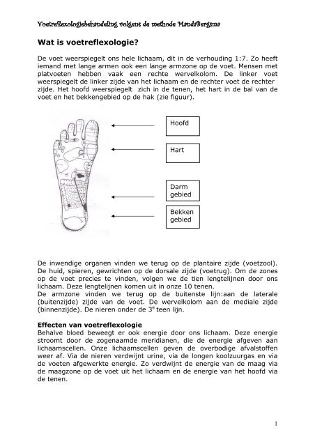 Wat is voetreflex - School voor Voetreflexologie
