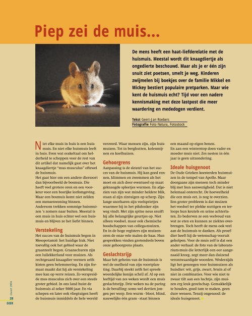 Piep zei de muis… - Dierenbescherming