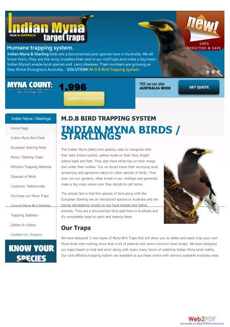 Indian Myna Birds | Starlings | Bird Traps | Myna Traps