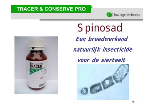 Spinosad - PCS