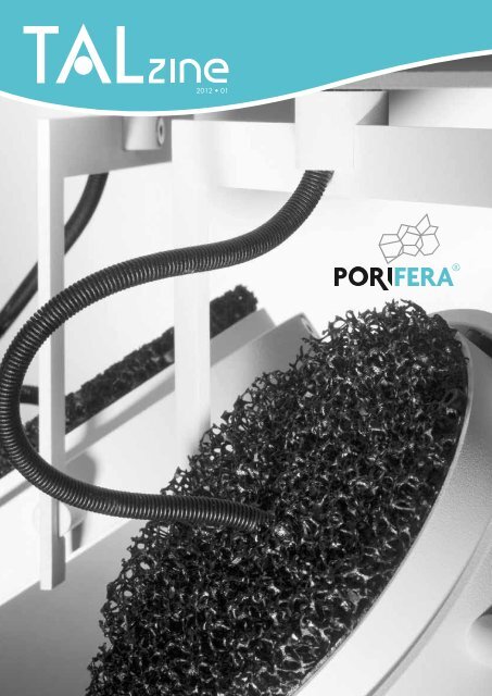 Tommy Pascal Trimless - Tal.be