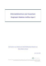 Dag Tijden Insuline Opmer