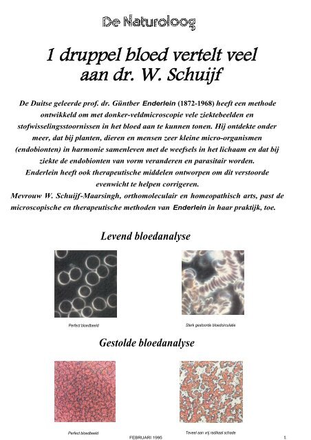 1 druppel bloed vertelt veel aan dr. W. Schuijf - Reynaert Research