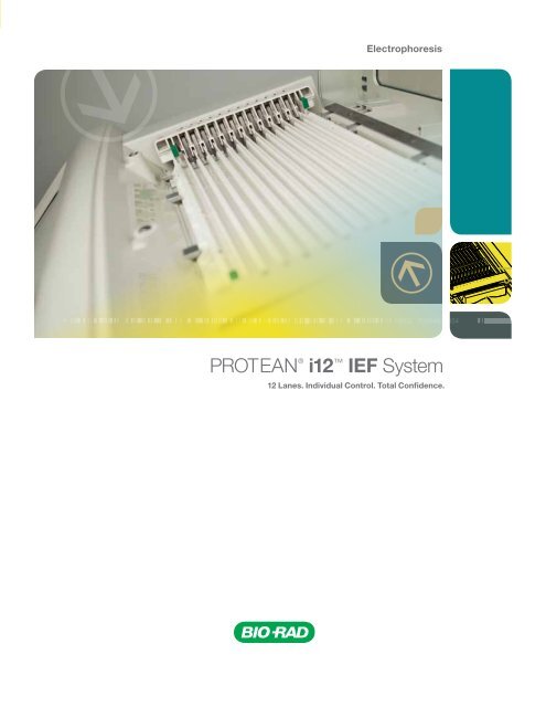 Protean i12 IEF System Brochure.pdf