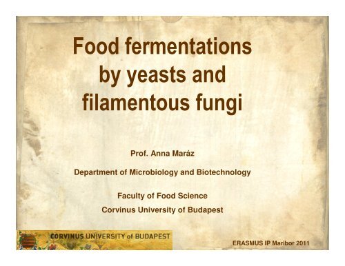 Fungi Used In Food