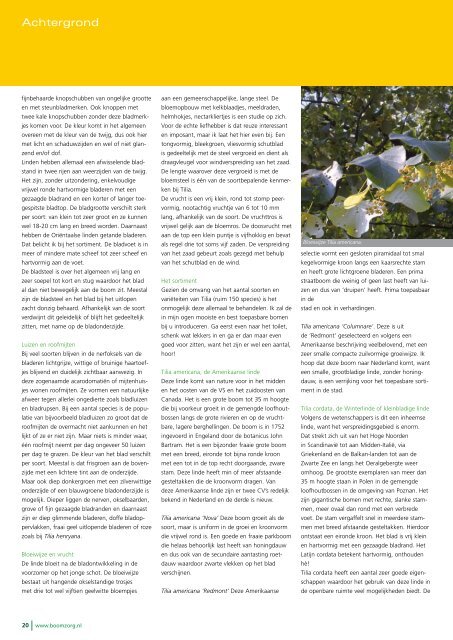 Achtergrond - Groot Groen Plus