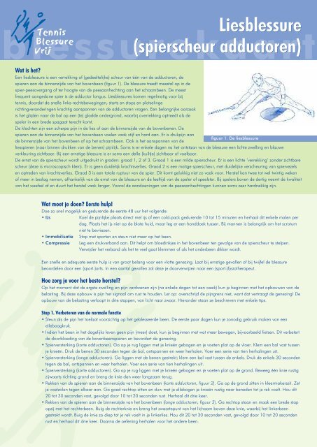 Liesblessure (spierscheur adductoren) Liesblessure ... - Knltb