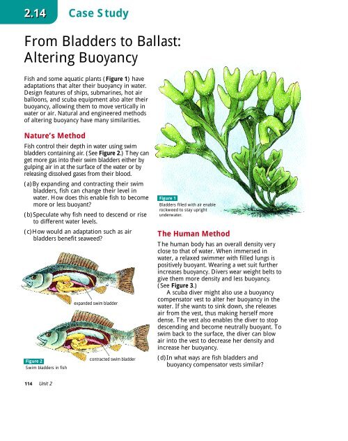 From Bladders to Ballast: Altering Buoyancy