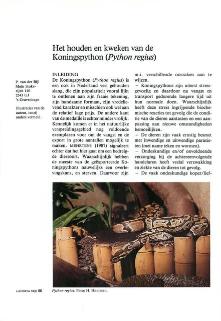 Het houden en kweken van de Koningspython (Python ... - Lacerta