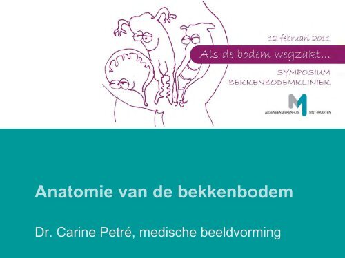 Anatomie van de bekkenbodem - AZ Sint-Maarten