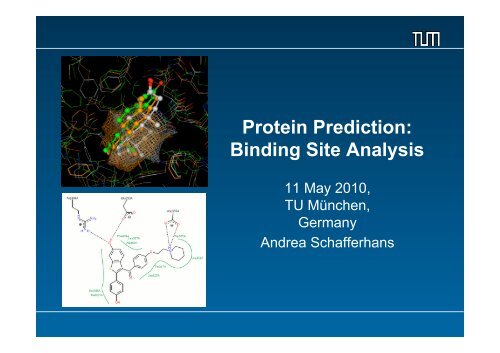 Protein Prediction: Binding Site Analysis - ROSTLAB.ORG