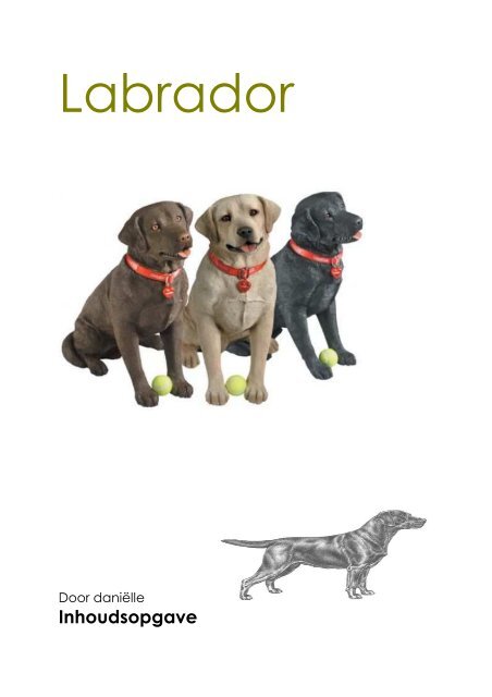 labrador werkstuk Daniëlle.pdf - Basisschool Het Bossche Hart