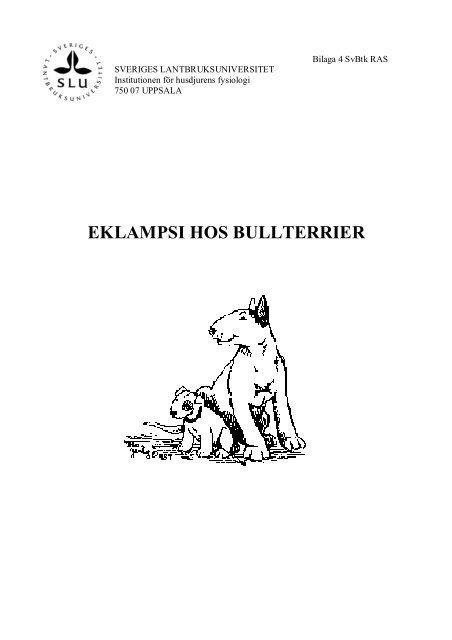 Bilaga 4 - Svenska Bullterrierklubben