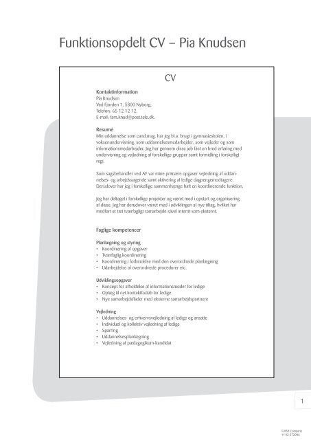 Funktionsopdelt CV – Pia Knudsen - AS3