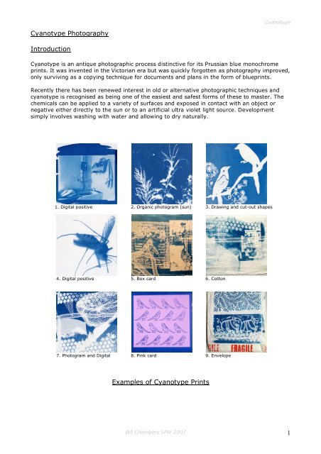 1 Cyanotype Photography Introduction Examples of Cyanotype Prints