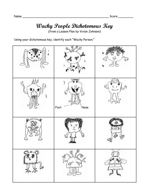 Wacky People Dichotomous Key