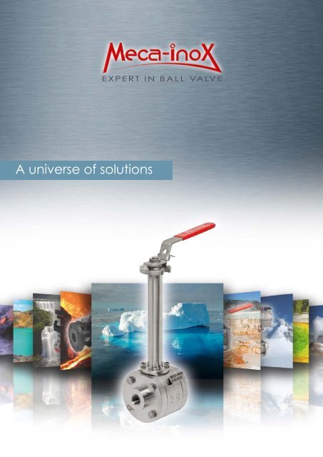 expert in ball valve - Meca-Inox