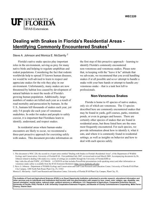 Florida Snake Information Guide - Jupiter Inlet Colony