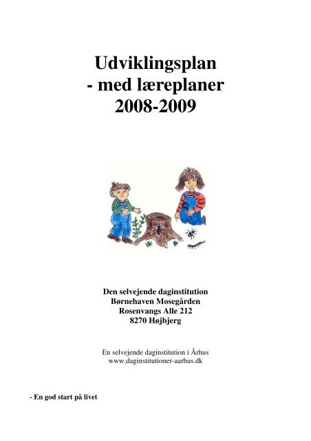 Udviklingsplan - med læreplaner 2008-2009 - Selvejende