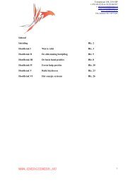Werkboek Reiki II - Amanda Bouman