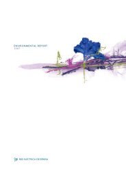 CR Annual Report 2006 - Red Eléctrica de España