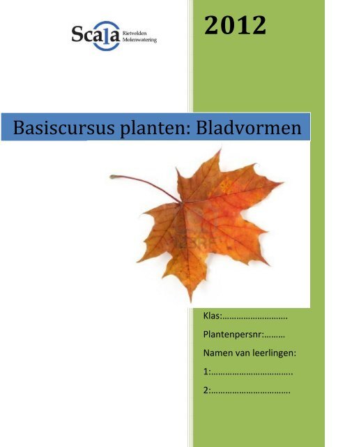 Basiscursus planten: Bladvormen - biologielessen.nl