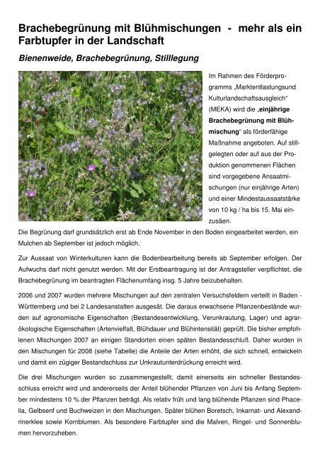 Brachebegrünung mit Blühmischungen - mehr ... - Becker-Schoell AG