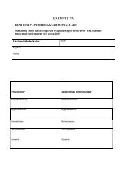 KONTROLLPLAN - EXEMPEL!