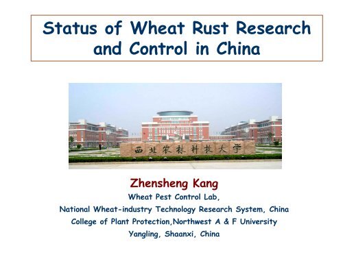 Status of Wheat Rust Research and Control in China
