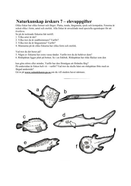 Naturkunskap årskurs 7 - Svensk Fisk