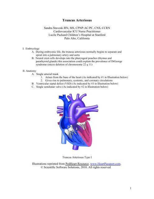 Truncus Arteriosus Embryology