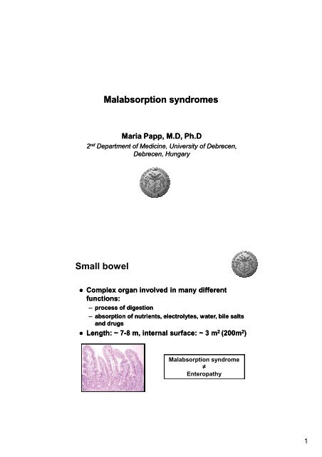 Malabsorption syndromes Small bowel