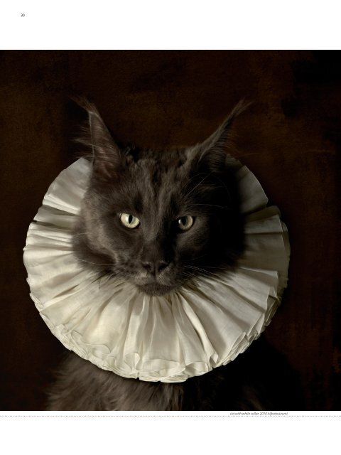 30 cat with white collar, 2010 (rijksmuseum) - Thijs, Marie Cecile