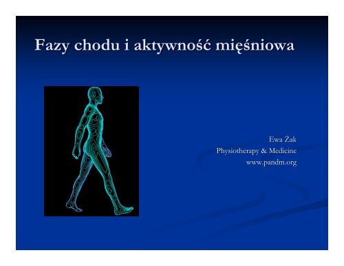 fazy_chodu_aktywnosc.. - Pandm