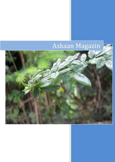 Askaan Magazin