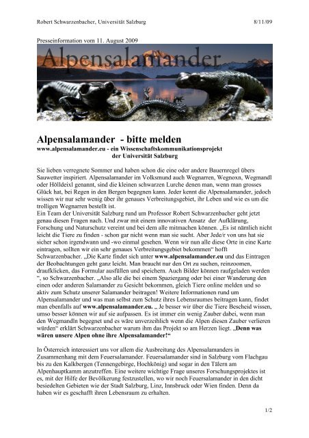 Alpensalamander - bitte melden