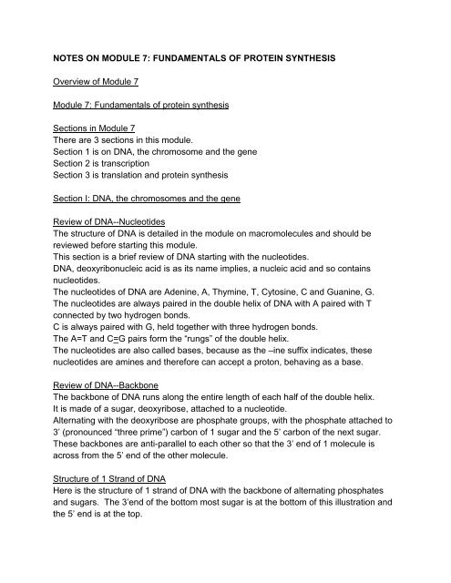 Notes On Module 7 Fundamentals Of Protein