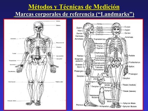 Métodos y Técnicas de M Métodos y Técnicas de M