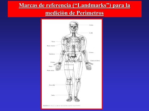 Antropometría Métodos y Antropometría Métodos y