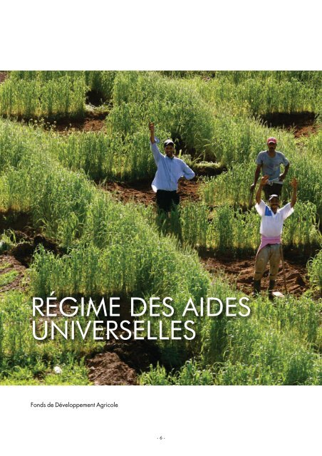 elevage bovin laitier - Fellah Trade