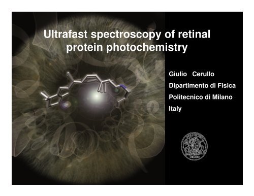 Ultrafast spectroscopy of retinal protein photochemistry